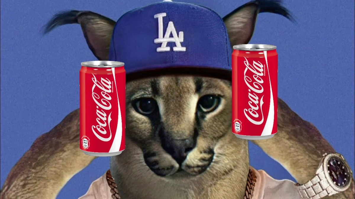 Floppa Cola | Шлёпа Вики | Fandom