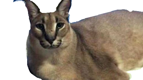 Jinx | Floppa Wiki | Fandom