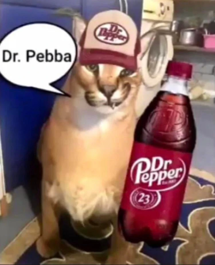 Dr. Pebba | Floppapedia Revamped Wiki | Fandom