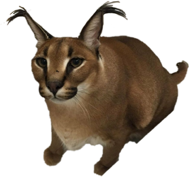 User blog:Thepowerupbrothers/Big Floppa Is Cool! | Floppapedia Revamped ...