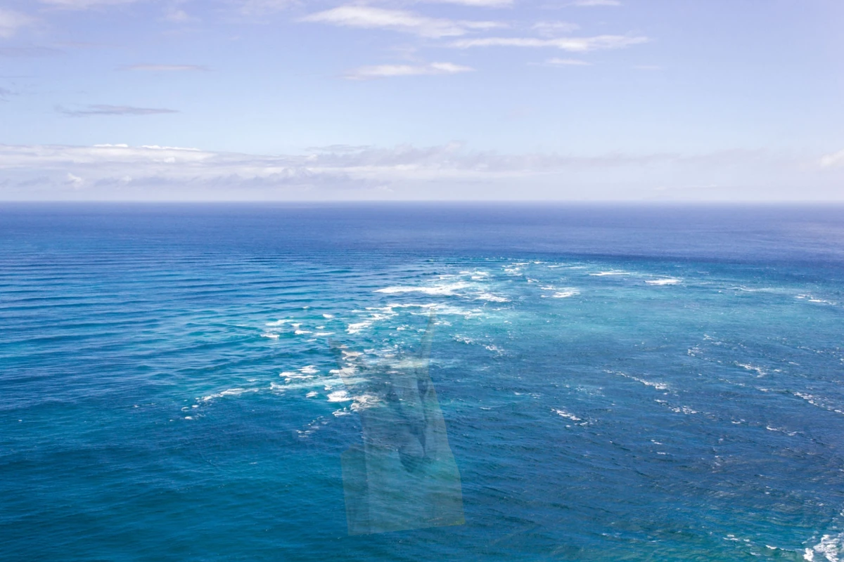 Flopcific Ocean | Floppapedia Revamped Wiki | Fandom