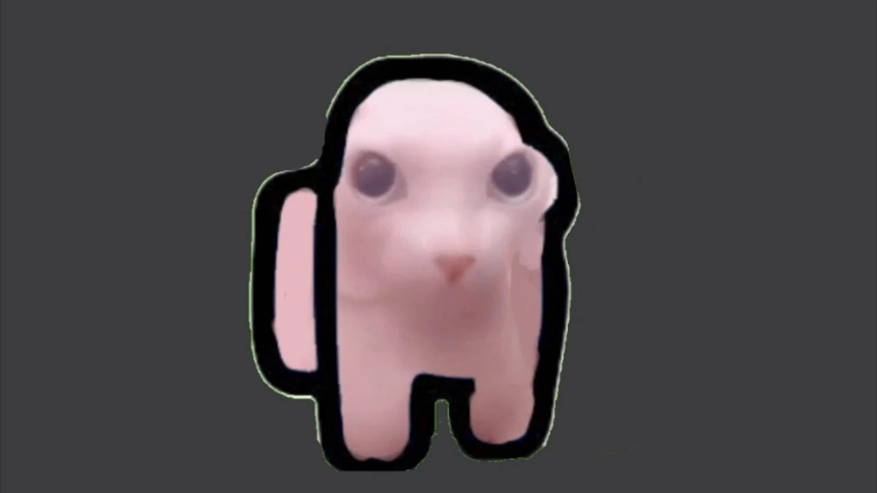 Sus Bingus | Floppapedia Revamped Wiki | Fandom