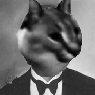 Floppapedia Revamped Wiki | Fandom