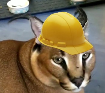 Floppology | Floppapedia Revamped Wiki | Fandom