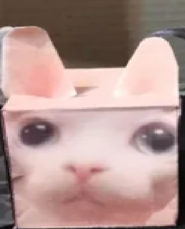 Bingus Cube | Floppapedia Revamped Wiki | Fandom