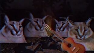 Stalker Floppa | Floppapedia Revamped Wiki | Fandom