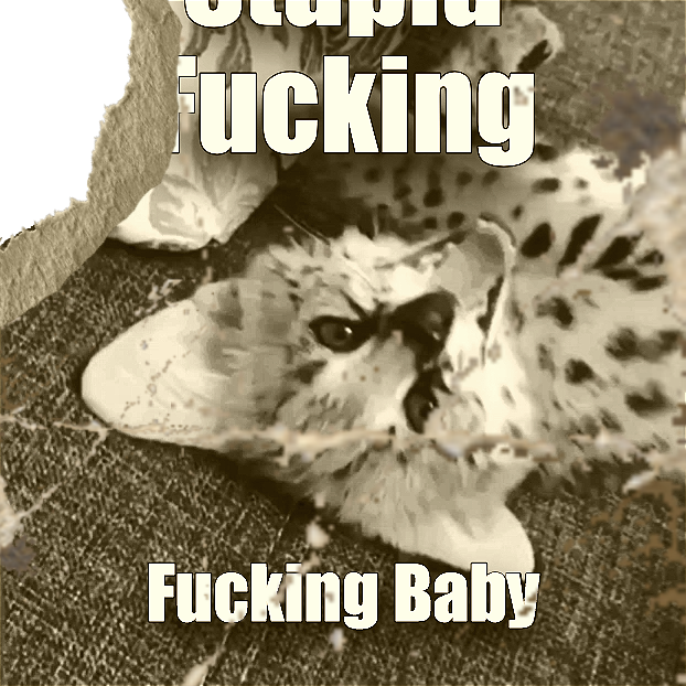 Sogga (Species) | Floppapedia Revamped Wiki | Fandom