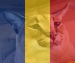 Romanian Floppa | Floppapedia Revamped Wiki | Fandom