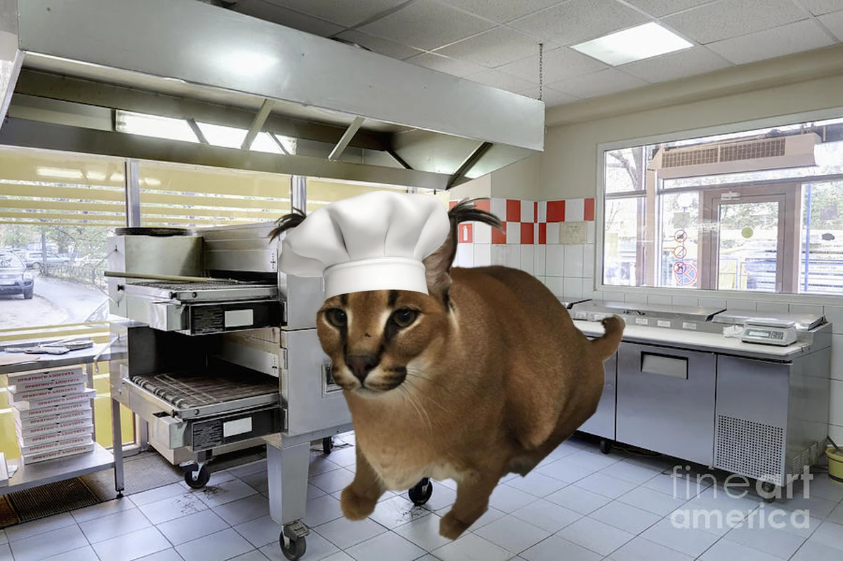 Floppeino Karakal | Floppapedia Revamped Wiki | Fandom