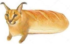 Bread Floppa | Floppapedia Revamped Wiki | Fandom