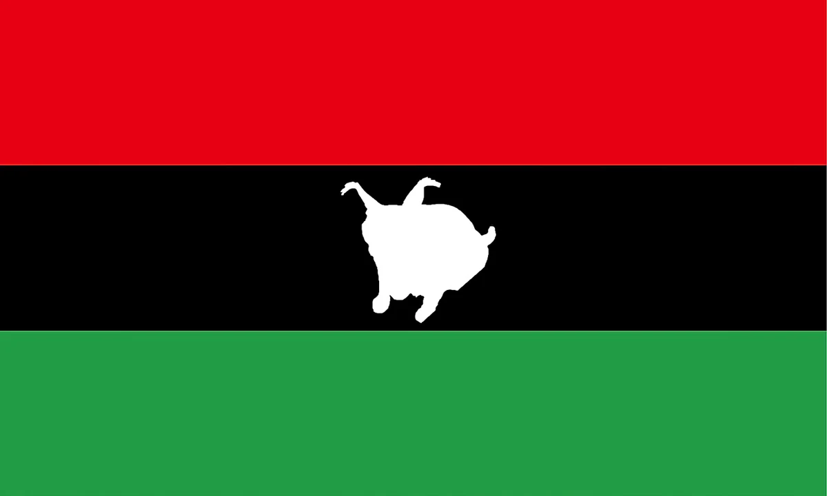 Flobya | Floppapedia Revamped Wiki | Fandom