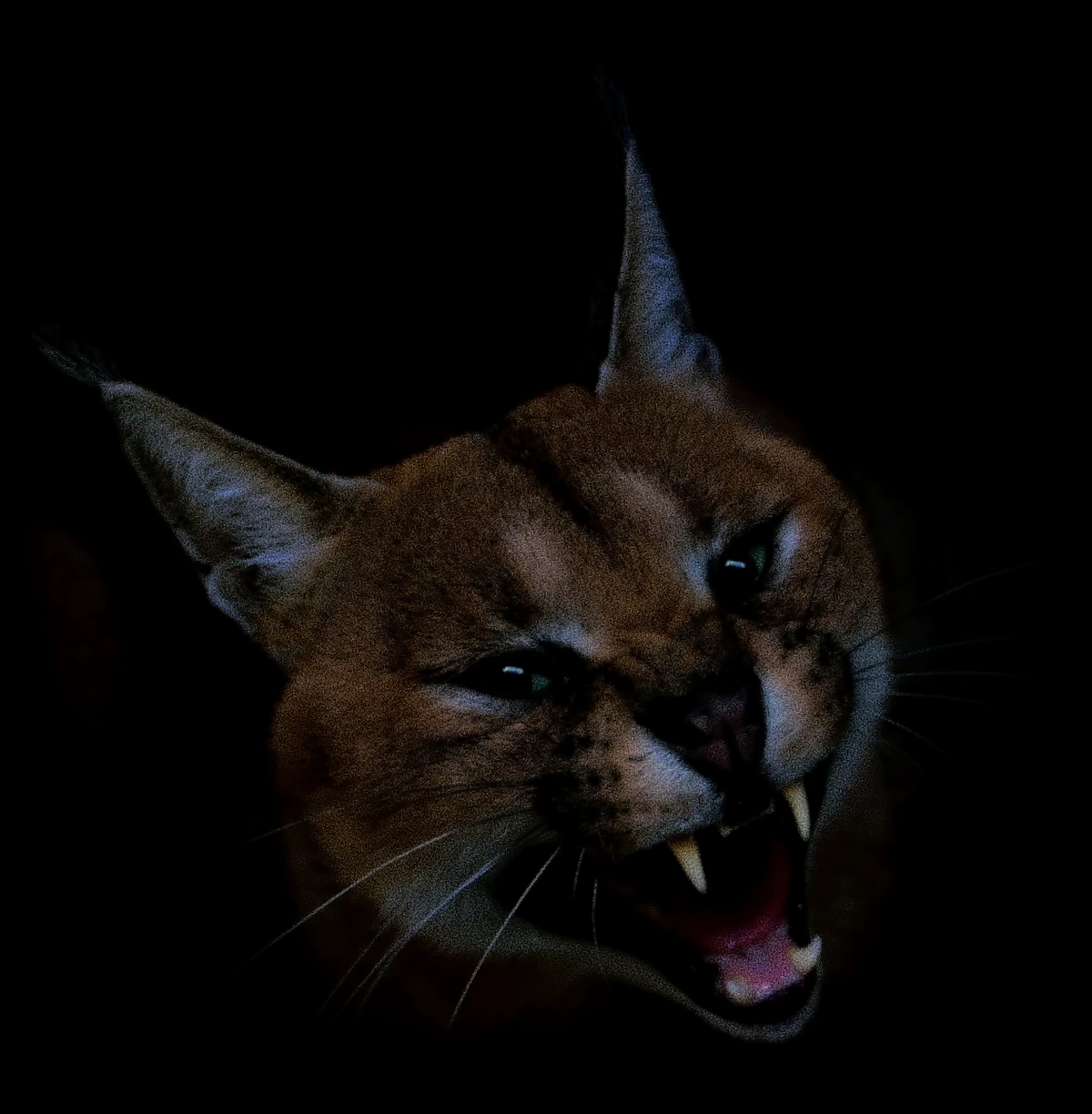 The abyss | Floppapedia Revamped Wiki | Fandom