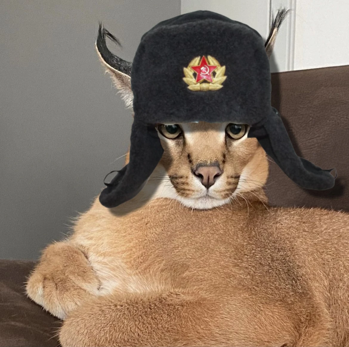 Oleg Golubev | Floppapedia Revamped Wiki | Fandom