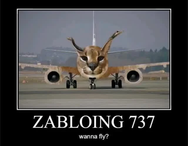 Zabloing 737 | Floppapedia Revamped Wiki | Fandom