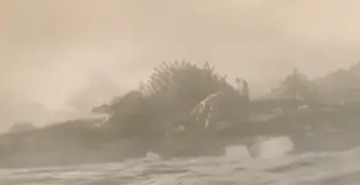 Flopping Project | Floppapedia Revamped Wiki | Fandom