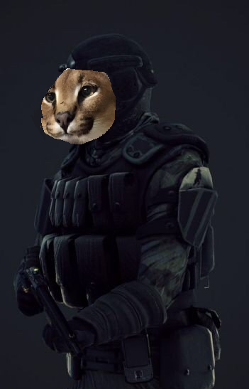 Floppa Task Force (FTF) | Floppapedia Revamped Wiki | Fandom