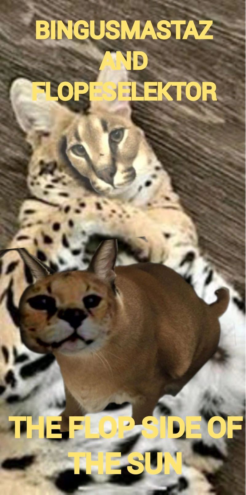 The Flop Side of the sun | Floppapedia Revamped Wiki | Fandom