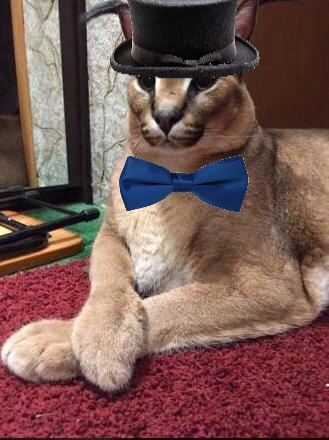 Marvin Floppa | Floppapedia Revamped Wiki | Fandom