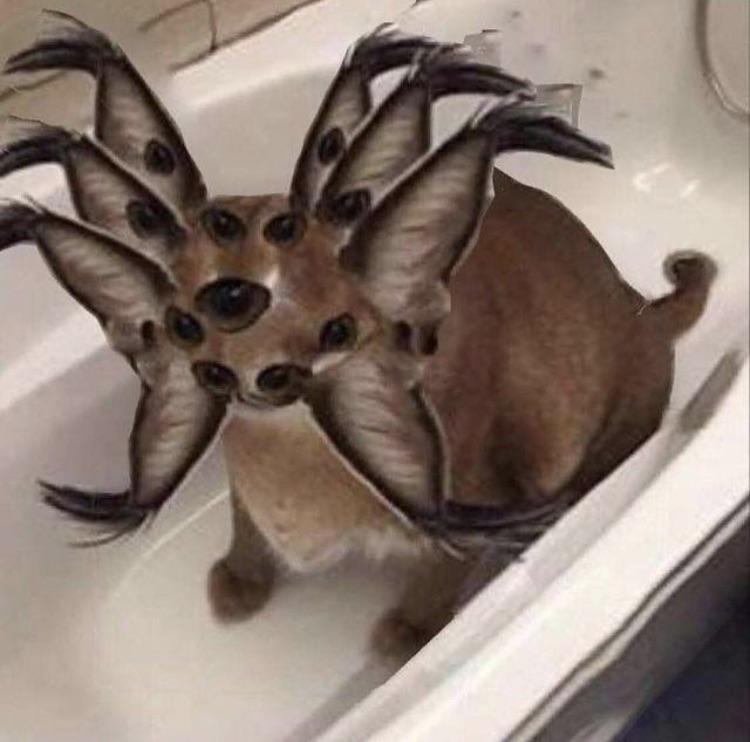 Biblically Accurate Floppa | Floppapedia Revamped Wiki | Fandom