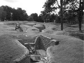 Great Floppa War | Floppapedia Revamped Wiki | Fandom