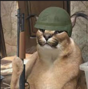 General Wartime Floppa | Floppapedia Revamped Wiki | Fandom