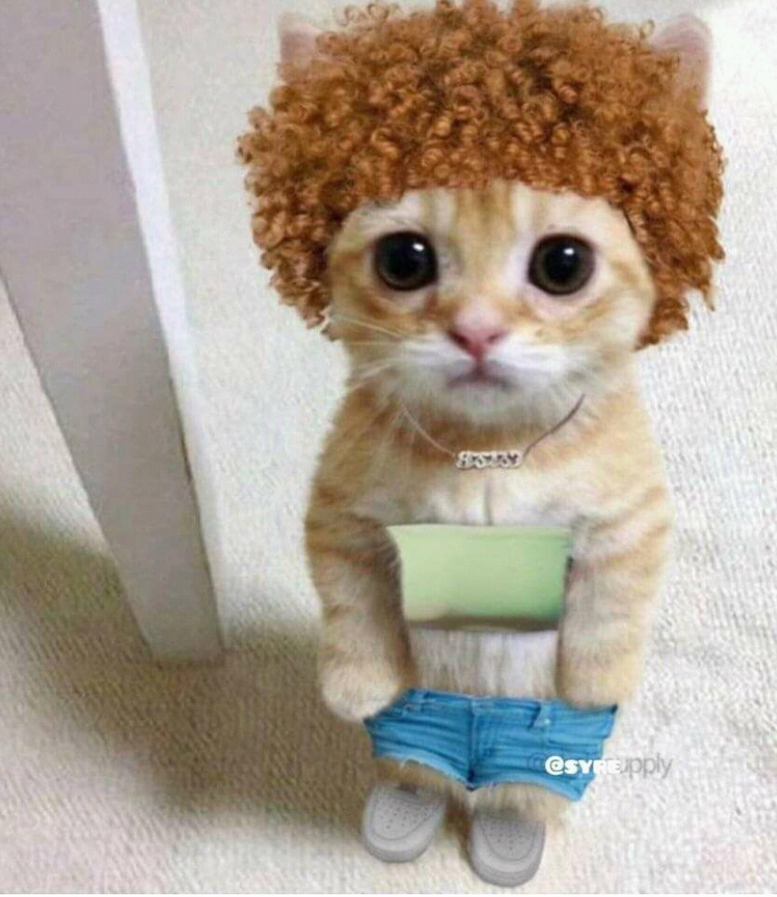 Ice Slop | Floppapedia Revamped Wiki | Fandom