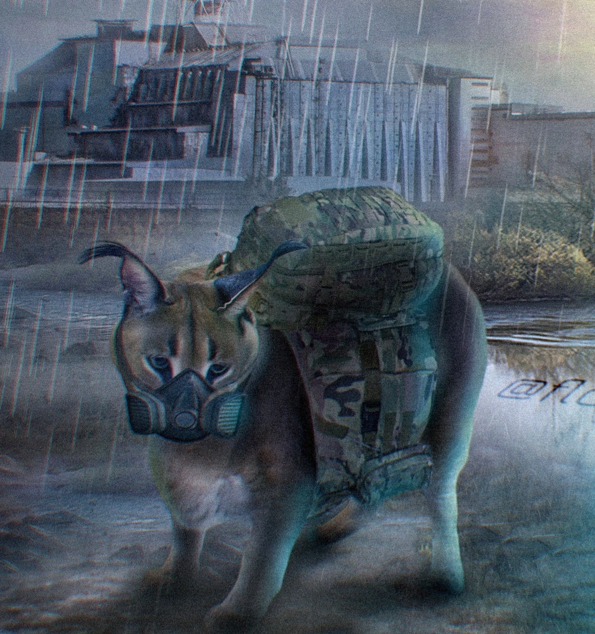 S.T.A.L.K.E.R. Floppa | Floppapedia Revamped Wiki | Fandom