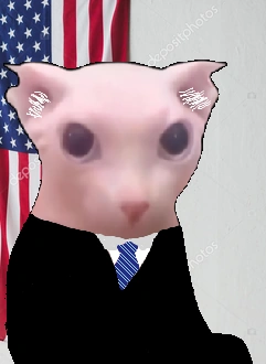 Joe Bingus | Floppapedia Revamped Wiki | Fandom