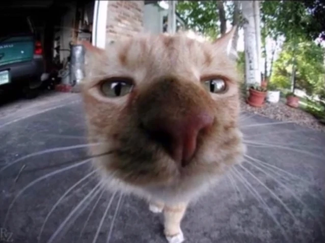 Gloop | Floppapedia Revamped Wiki | Fandom