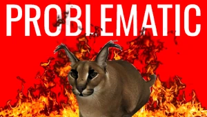 Floppa (Species) | Floppapedia Revamped Wiki | Fandom