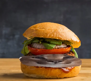 Burgers | Floppapedia Revamped Wiki | Fandom