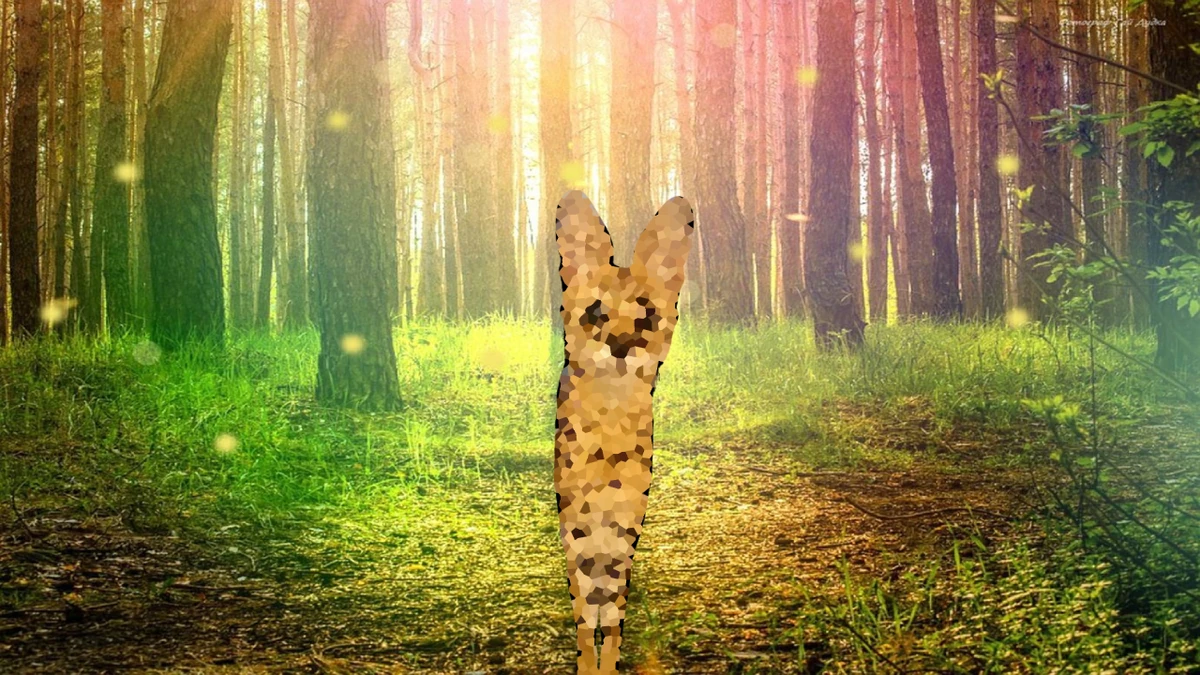 Sogga Rock | Floppapedia Revamped Wiki | Fandom