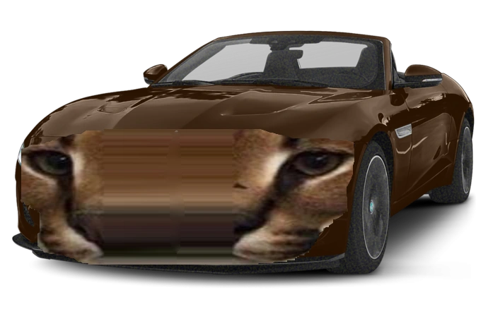 Convertible Floppa | Floppapedia Revamped Wiki | Fandom