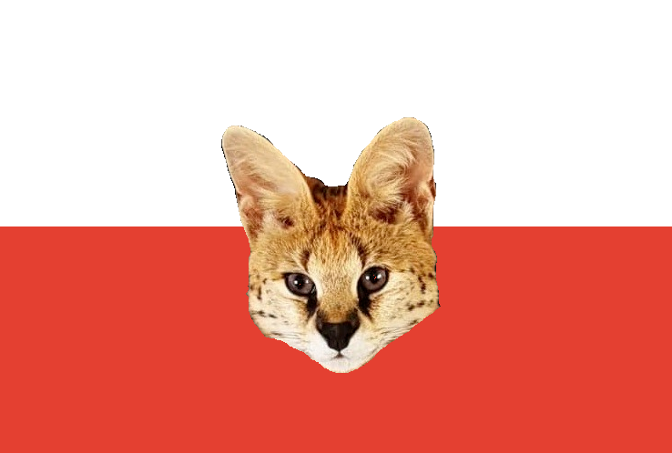 Second Sogish Republic | Floppapedia Revamped Wiki | Fandom