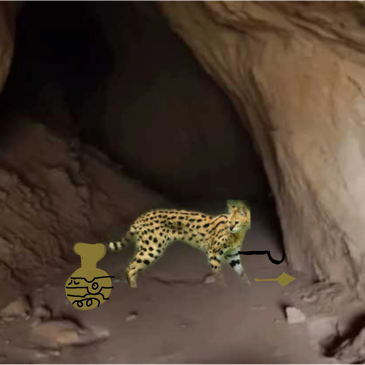 Ancient Soggas | Floppapedia Revamped Wiki | Fandom