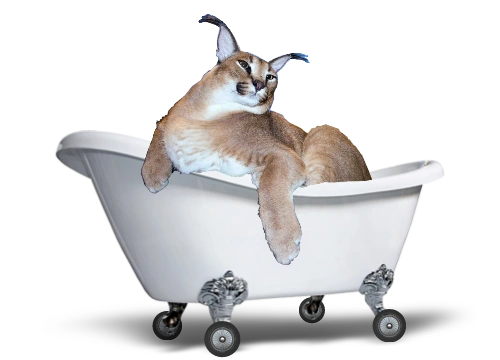 Bath Spankings Brother | Floppapedia Revamped Wiki | Fandom