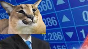 Stock Floppa | Floppapedia Revamped Wiki | Fandom