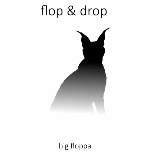 Flop & Drop | Floppapedia Revamped Wiki | Fandom