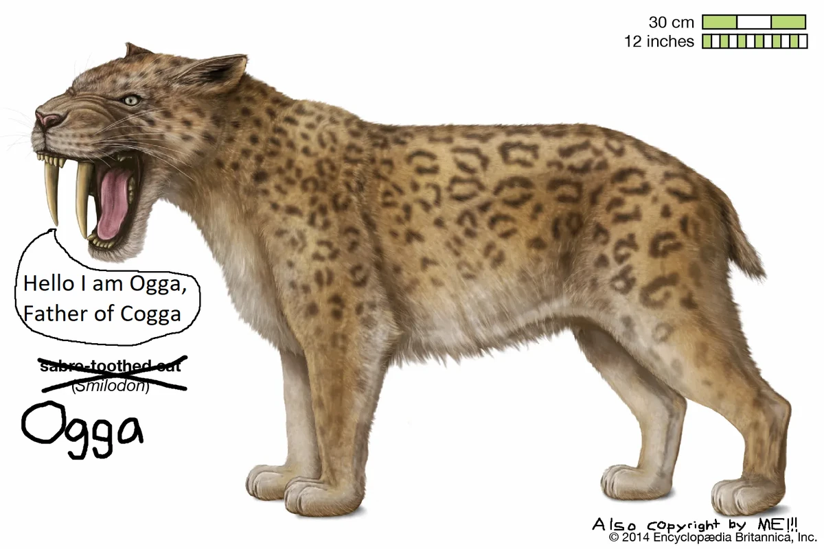 Category:Tigers | Floppapedia Revamped Wiki | Fandom