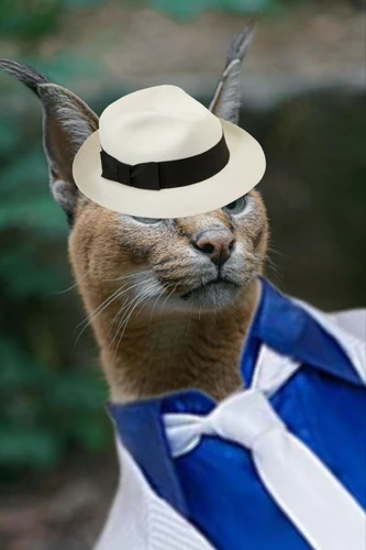 Michael Flopson | Floppapedia Revamped Wiki | Fandom