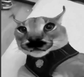 Reltih Floppa | Floppapedia Revamped Wiki | Fandom