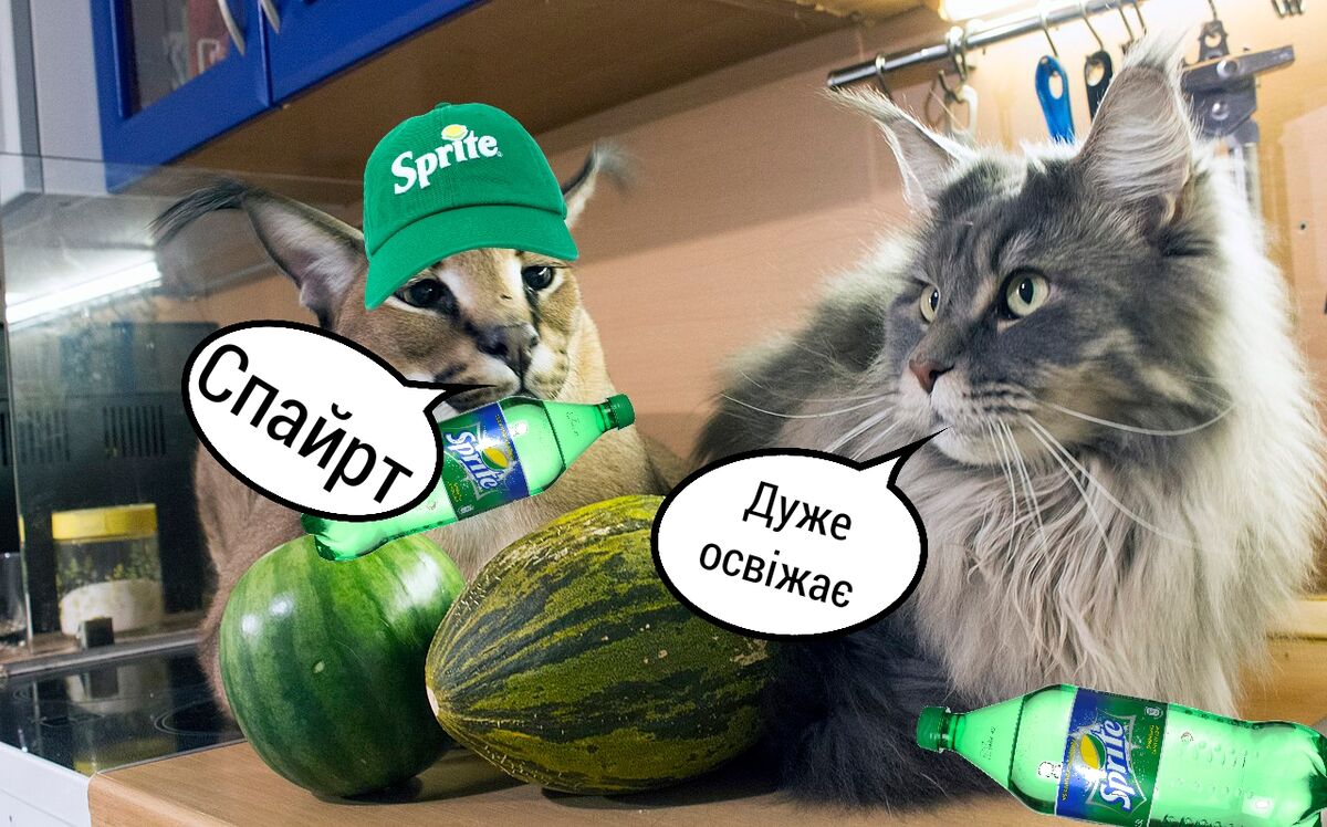 Spirte (character) | Floppapedia Revamped Wiki | Fandom