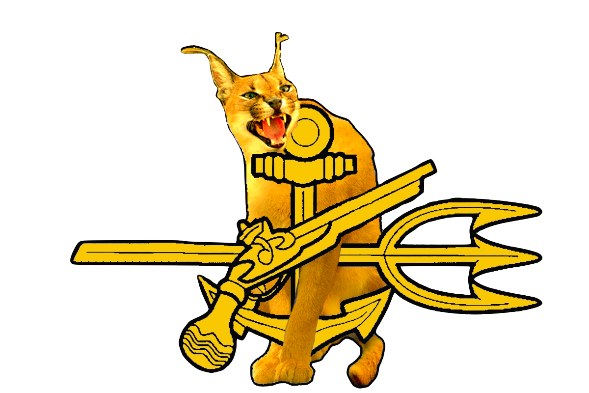 Floppa Special Warfare Command | Floppapedia Revamped Wiki | Fandom