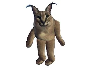 Big Floppa(Doppelganger) | Floppapedia Revamped Wiki | Fandom