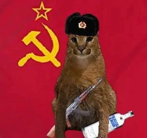 Union Of Soviet Floppist Republics | Floppapedia Revamped Wiki | Fandom