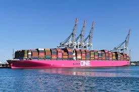 ONE Apus | Floppapedia Revamped Wiki | Fandom