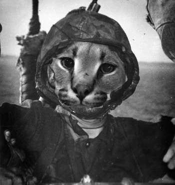 Pvt. Theodore J. Flops | Floppapedia Revamped Wiki | Fandom