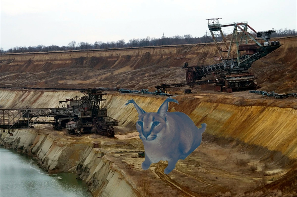 Water Floppa | Floppapedia Revamped Wiki | Fandom