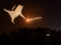 Cat Missile defense system | Floppapedia Revamped Wiki | Fandom