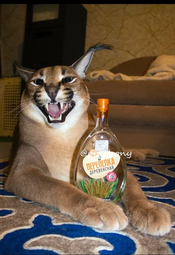 Big Floppa's Father | Floppapedia Revamped Wiki | Fandom